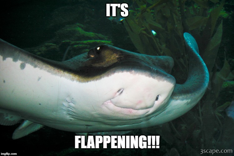 Reverse Sweep Memes Nothing Better Than A Reverse Sweep | #explorepage