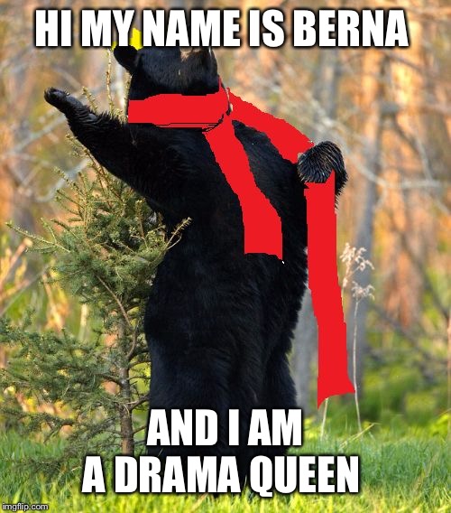 drama queen - Imgflip