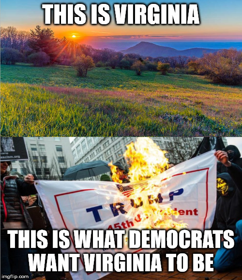 Virginia election memes. > Virginia > AR15.COM