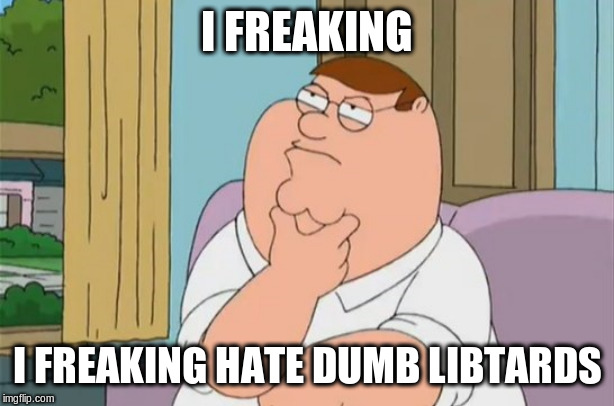 Upvote if you freaking hate libtards - Imgflip