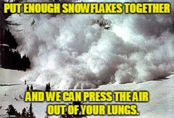 Liberal Snowflakes are not weak - Imgflip