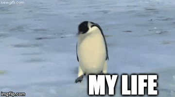 me trying to succeed in life - Imgflip