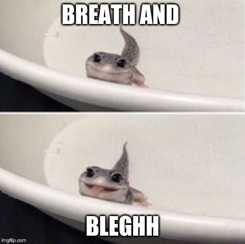 cute salamander bleghh - Imgflip