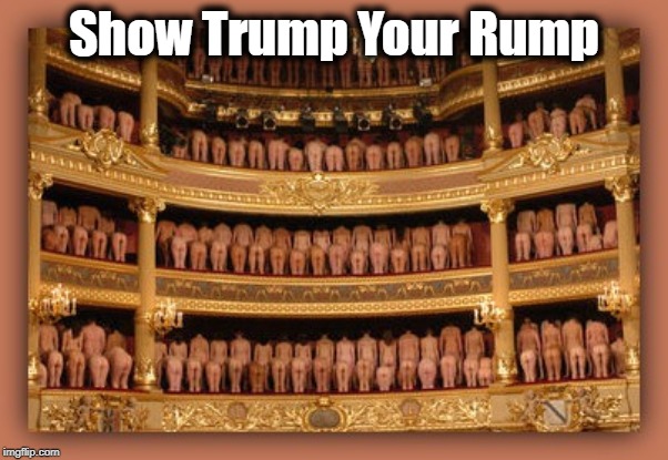 Show Trump Your Rump - Imgflip