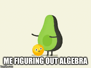 Me trying to figure out Algebra - Imgflip