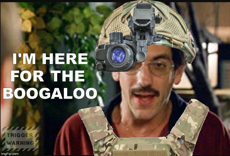 Boogaloo memes lmao - Page 3 - AR15.COM