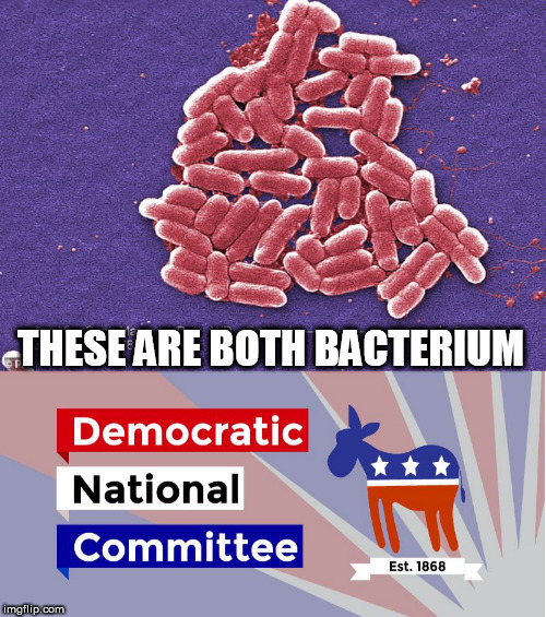 Image tagged in dnc,bacteria - Imgflip
