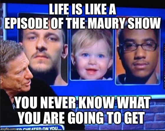 maury - Imgflip