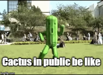 cactus - Imgflip