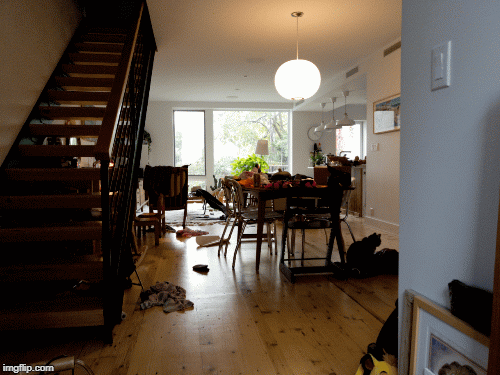 Animated GIF - Imgflip