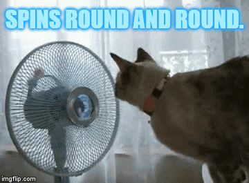 And The Fan - Imgflip