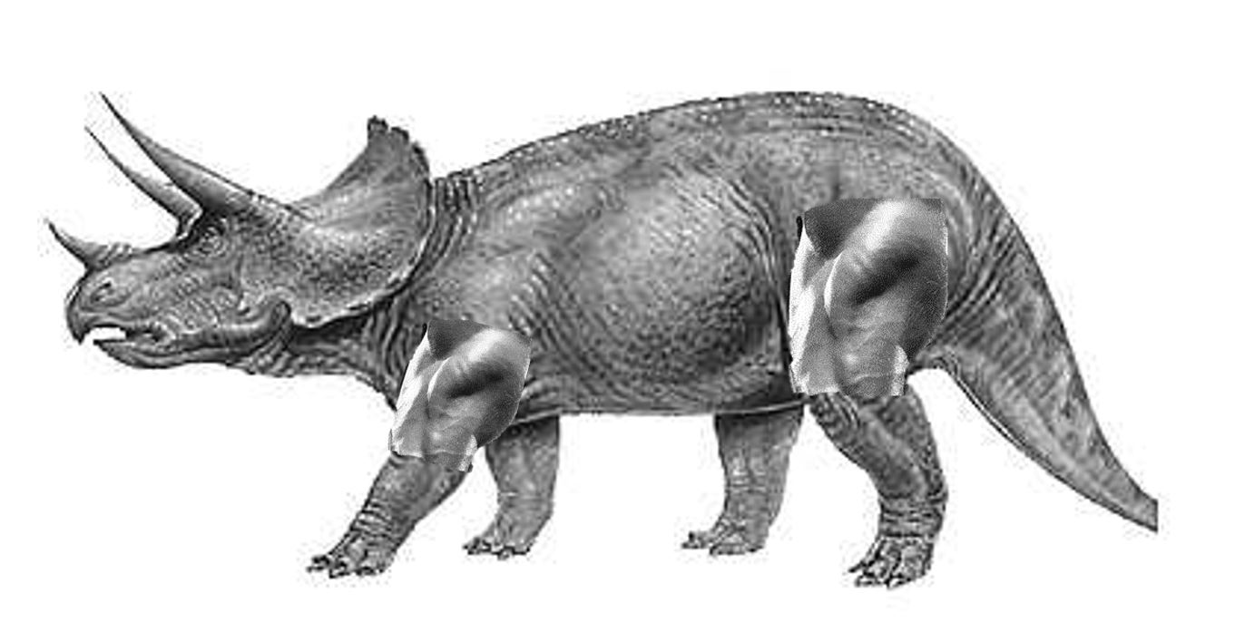 Tricepsatops Blank Template - Imgflip