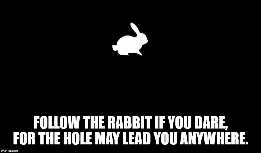 Follow The White Rabbit - Imgflip