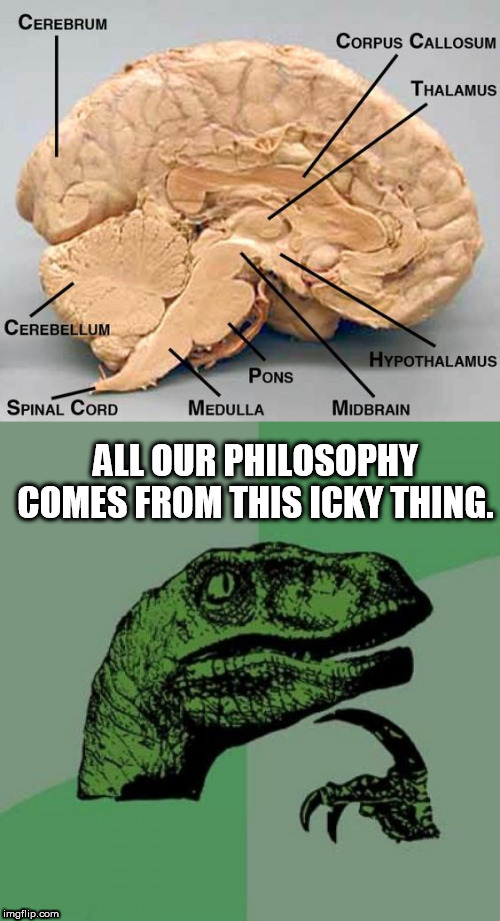 Image tagged in brain - Imgflip