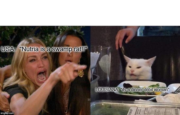 Woman Yelling At Cat Meme - Imgflip