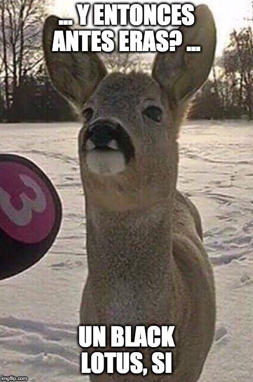 Deer Interview - Imgflip