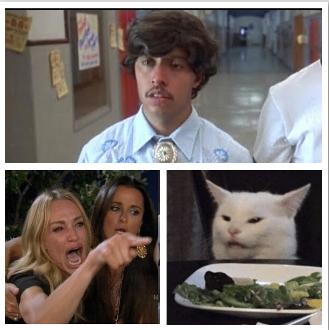 Yelling At Cat Meme Template Woman Yelling At Cat Meme Template Also 