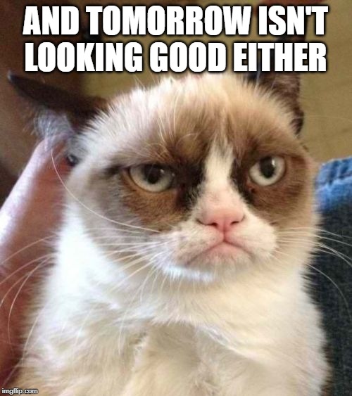 Grumpy Cat Meme - Imgflip