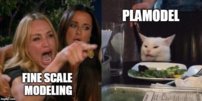 Girl yelling at cat - Imgflip