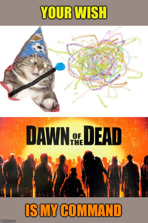 Make him vanish, quick! - Imgflip