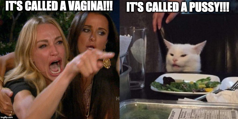 Woman Yelling At Cat Imgflip