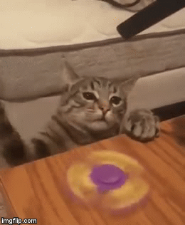 weeee this is fun - Imgflip