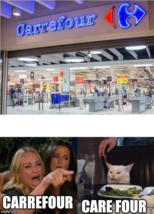 Image tagged in memes,woman yelling at cat - Imgflip