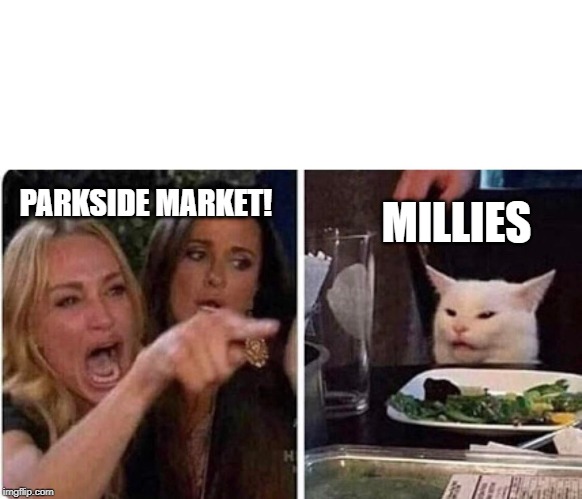 Lady screams at cat - Imgflip