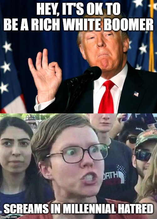 Image tagged in triggered liberal,trump's okay - Imgflip