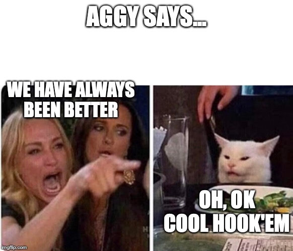 Lady screams at cat - Imgflip