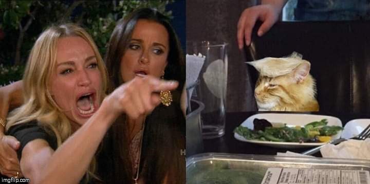 Image tagged in lady yelling at trump cat - Imgflip