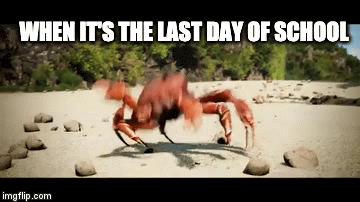 When It's the Last Day of School - Imgflip