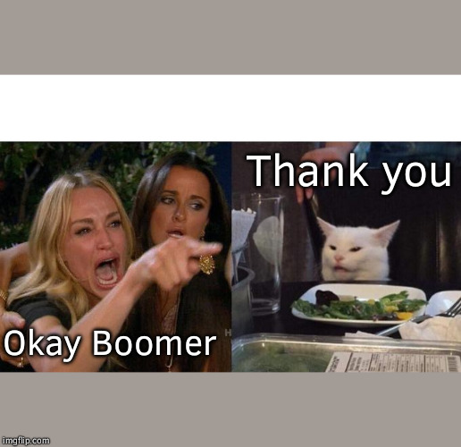 Woman Yelling At Cat Meme - Imgflip