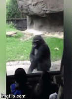 When You're Tired of Being Stared At - Imgflip