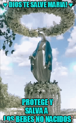 Protege y salva a los bebes no nacidos. - Imgflip