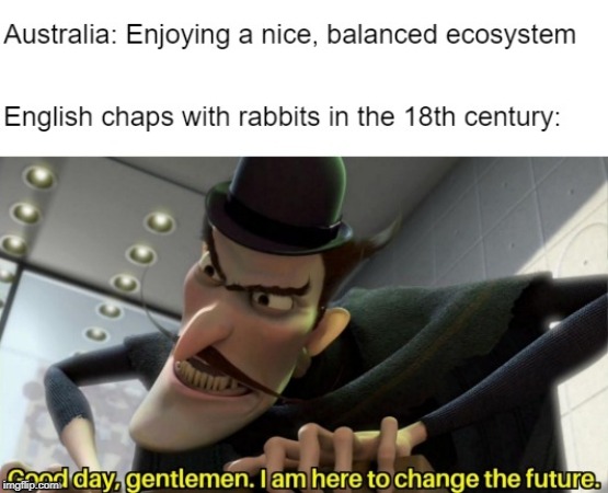 I hate the First Fleet. : r/Meme_Battles