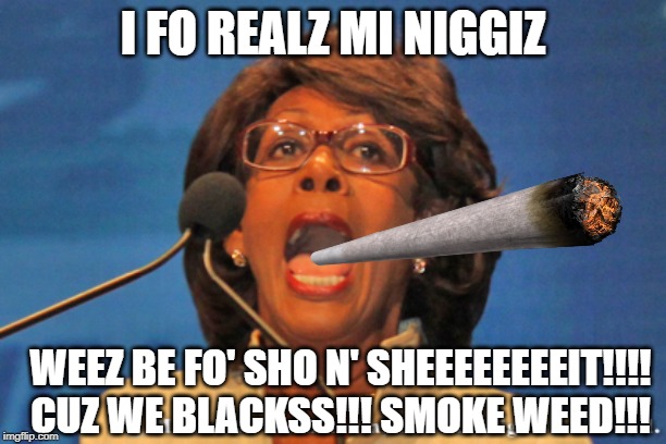 Maxine waters - Imgflip