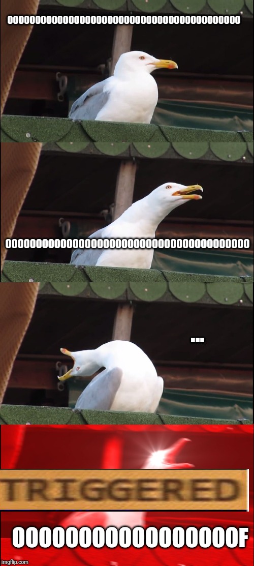 Inhaling Seagull Meme - Imgflip