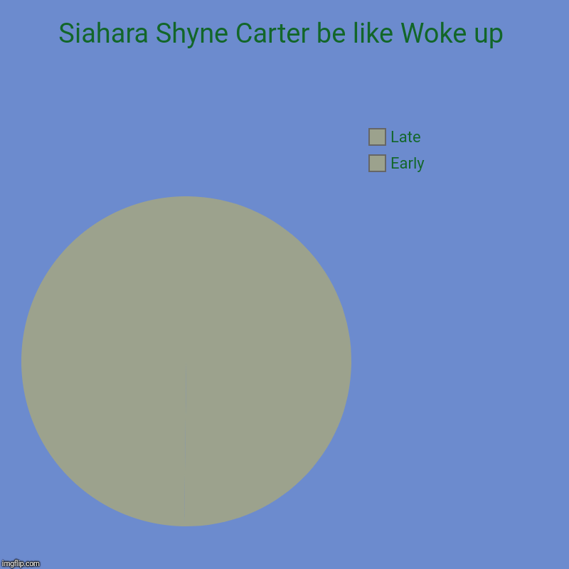 Siahara Shyne Carter be like Woke up - Imgflip