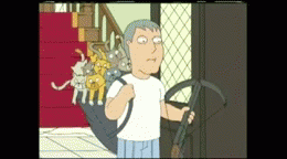 Image tagged in gifs,funny,cats - Imgflip