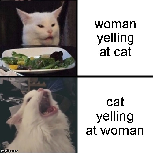  Cat Yelling At Woman Imgflip