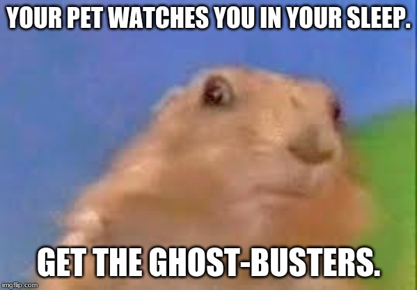 Dramatic Chipmunk - Imgflip