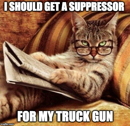 cat-newspaper - Imgflip