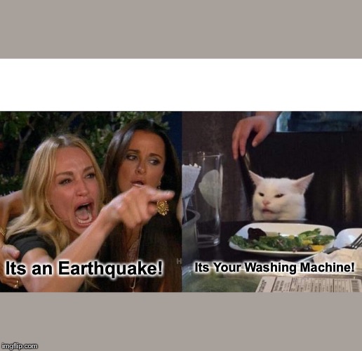Woman Yelling At Cat Meme - Imgflip