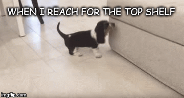 Reaches for top shelf - Imgflip