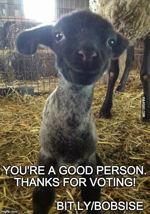 Image tagged in smiling lamb - Imgflip