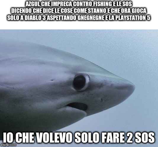 Awkward Shark - Imgflip