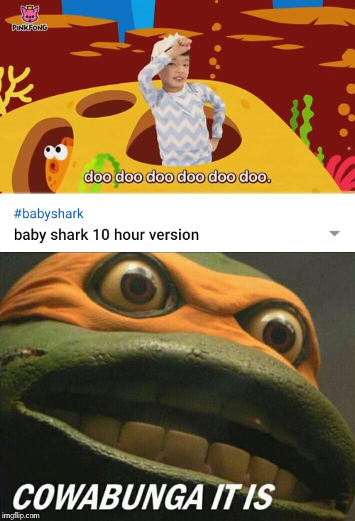 Cowabunga It Is Meme Template