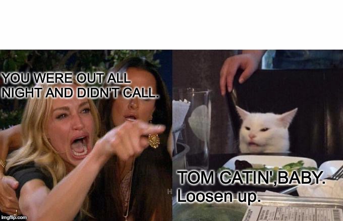 Woman Yelling At Cat Meme - Imgflip