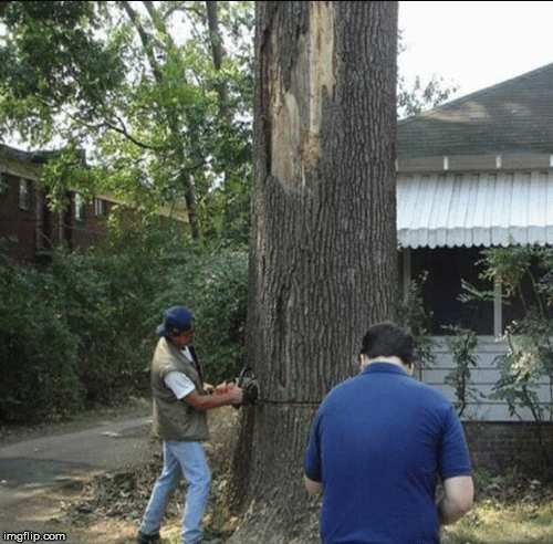 Animated GIF - Imgflip